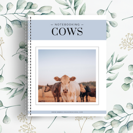 Cow Notebooking Pages – Embracing Homeschool Shop