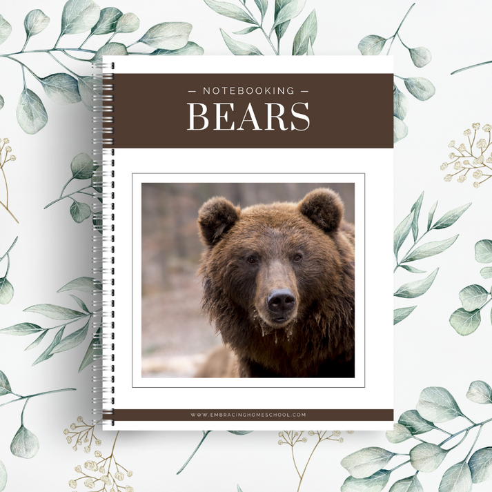 Bears Notebooking Pages – Embracing Homeschool Shop