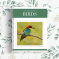 Birds Notebooking Pages – Embracing Homeschool Shop