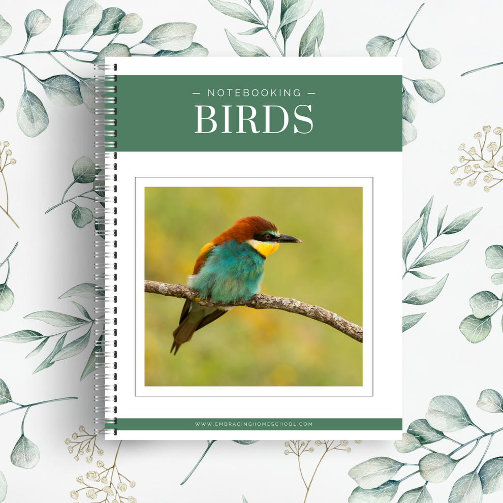 Birds Notebooking Pages – Embracing Homeschool Shop