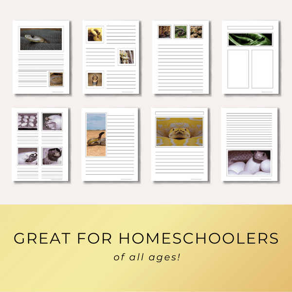 Snakes Notebooking Pages – Embracing Homeschool Shop